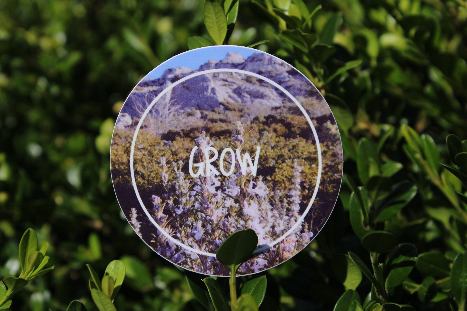 Grow Sticker 3 x 3 Waterproof Grow Self Love Sticker | Etsy