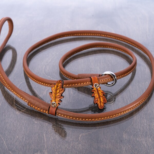 Dog Show Leads - Etsy
