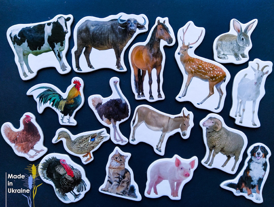 Realistic Animals Magnets for Kids, Set of 16, Farm Animals Toy ...