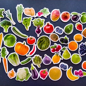 Vegetables & Fruits Magnets, Set of 50, Fridge Magnets for Kids ...
