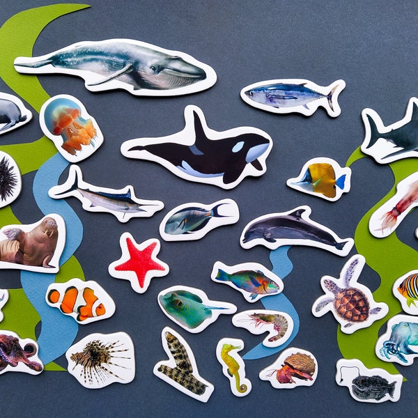 Ocean Magnets - Etsy
