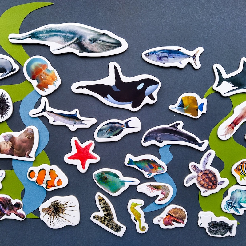 Ocean Magnets - Etsy
