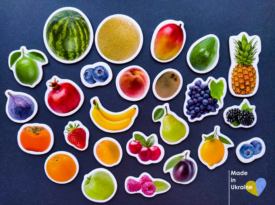 Realistic Food Magnets Set of 25 Fruits Magnets for Kids - Etsy