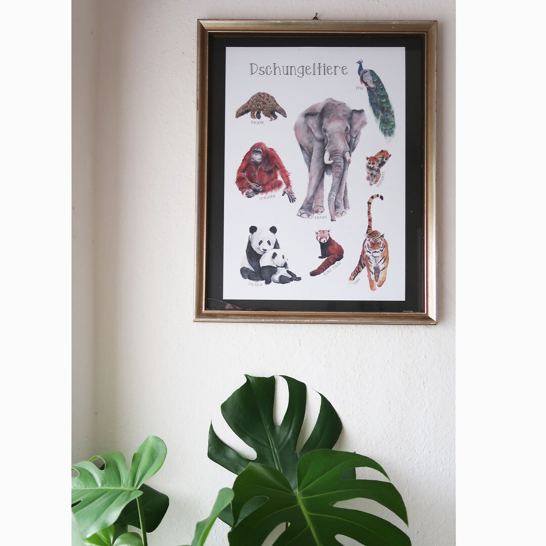 Dschungeltiere Aquarell Poster in A3, Kinderzimmer, Studienposter - Etsy