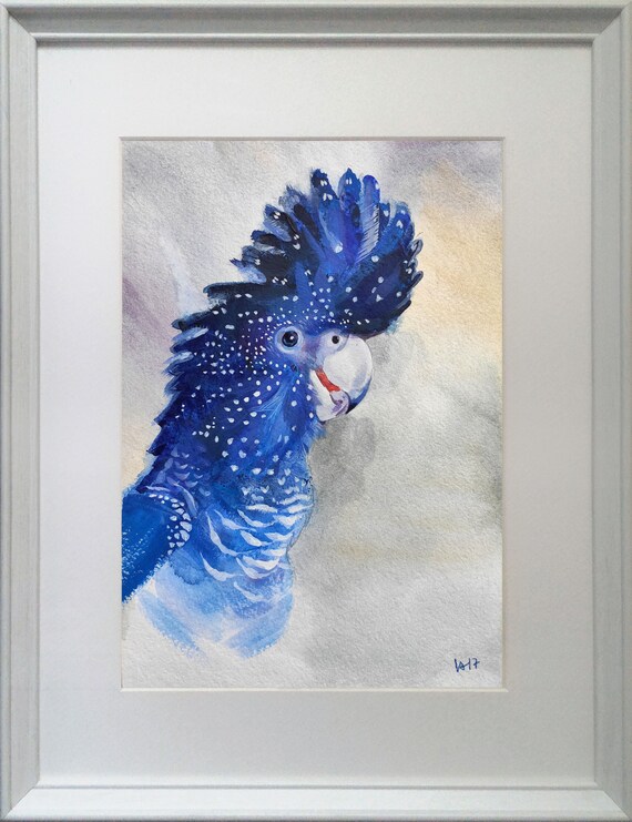 Norwegian Blue Cockatoo