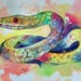 Colorful Snake Bright Reptile Rainbow Scales Wild World Abstract Shades ...