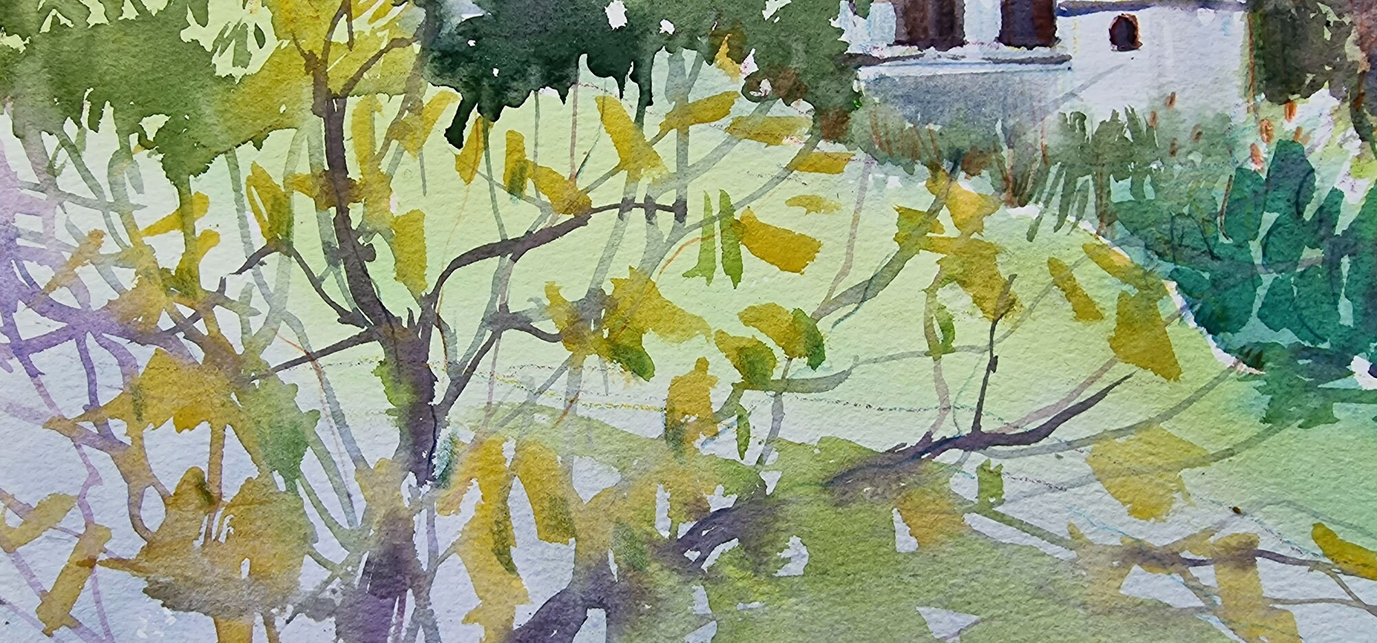 Finikaria Village Cyprus Landscape Countryside Europe Landscape ...