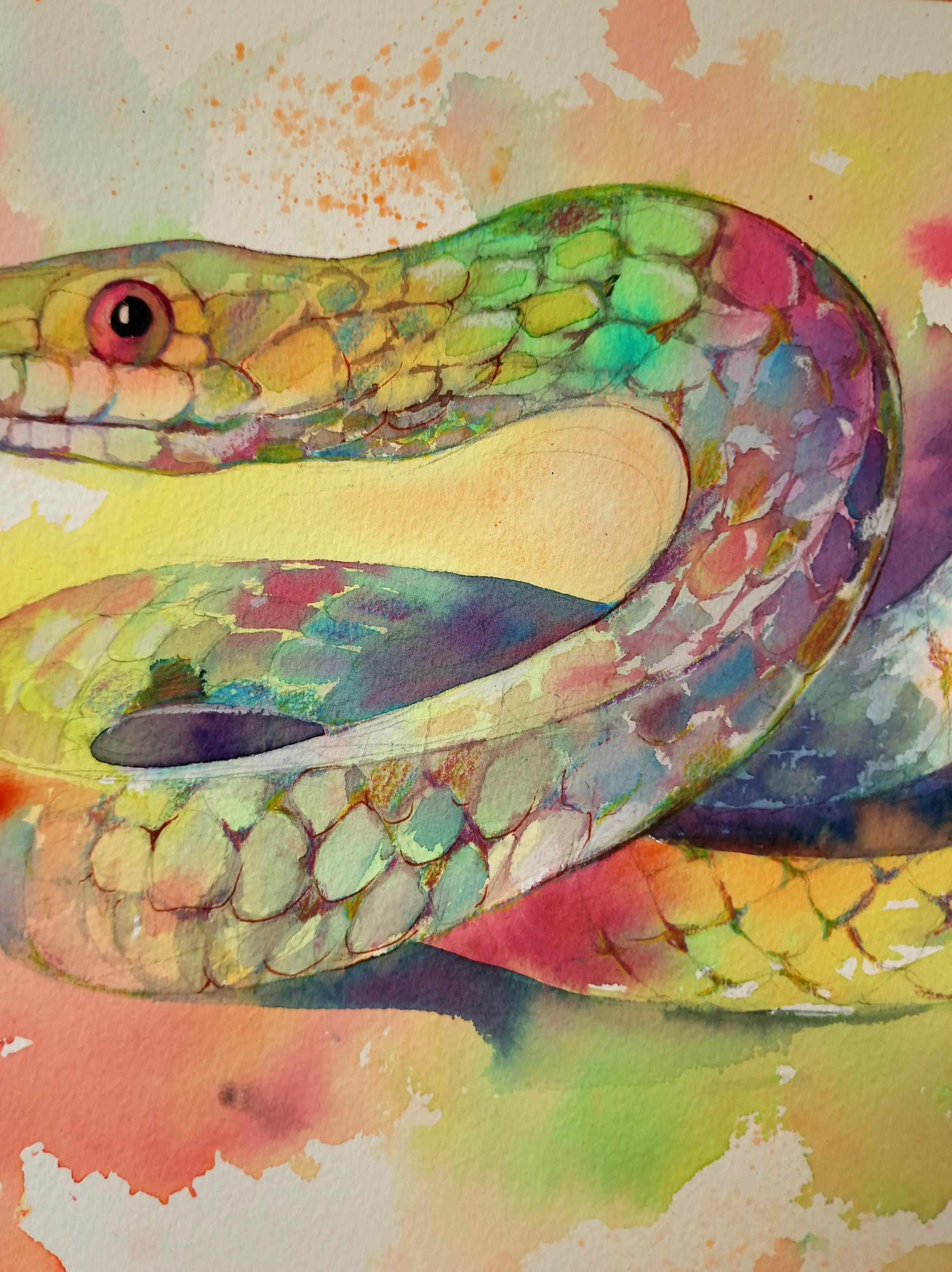 Colorful Snake Bright Reptile Rainbow Scales Wild World Abstract Shades ...