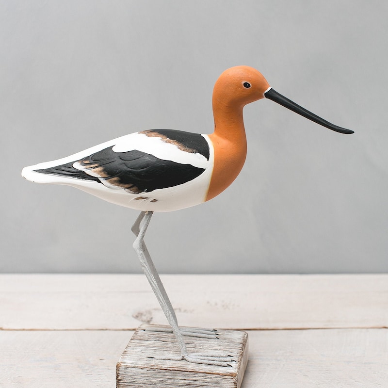 American Avocet - Etsy