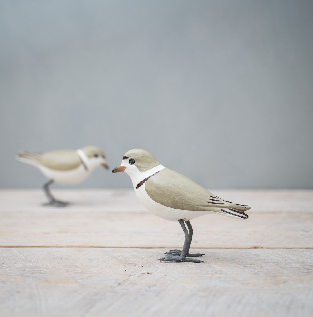 Mini Piping Plover - 3.5"h- Hand Carved Wooden Bird - 3"h - Etsy