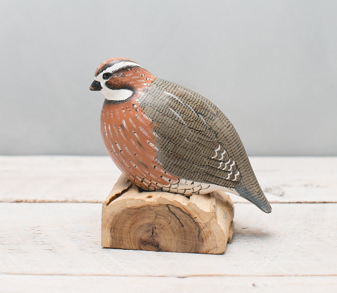 Bob White Quail, Resting - 6"h - Hand Carved | Wooden Bird - Etsy