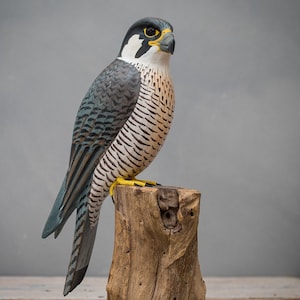 Peregrine Falcon - 11.5"h - Hand Carved Wooden Bird - Etsy