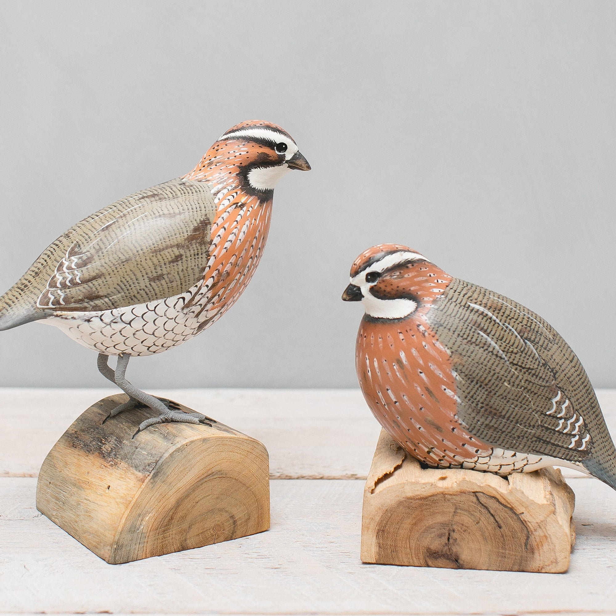 Bob White Quail, Standing- Hand Carved Wooden Bird - 9"h - Etsy UK