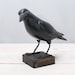 Mini Crow 3.5h Hand Carved Wooden Bird - Etsy Canada