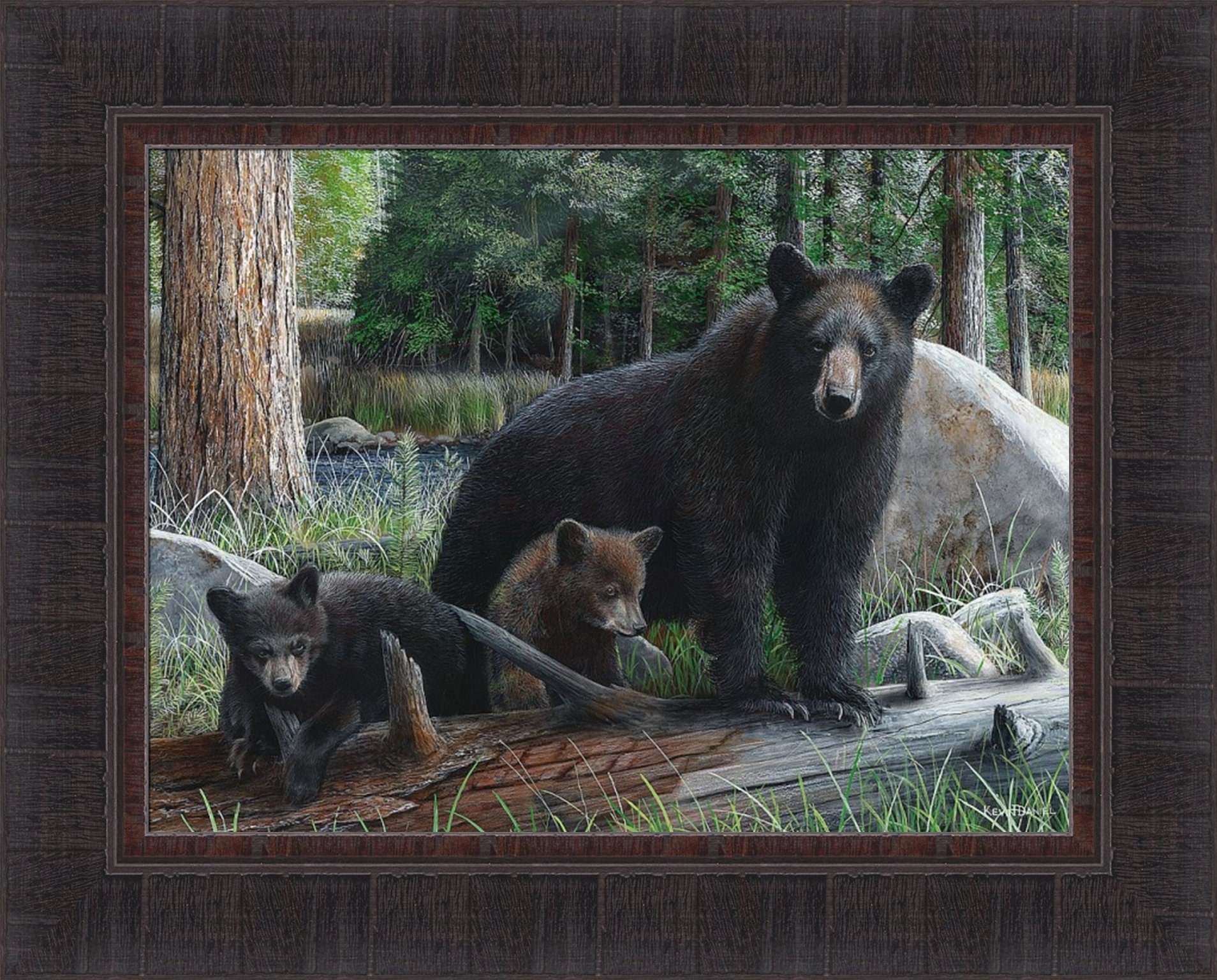 New Discoveries by Kevin Daniel 17x21 Black Bear Cub Cubs Bears Art for ...