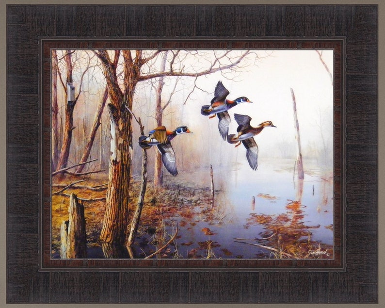 Backwater by Jim Hansel 17x21 Wood Ducks Framed Art Print Wall Décor ...