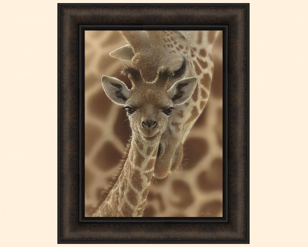 Newborn Giraffe by Collin Bogle 16x20 Mom Mama Baby Snuggling Nursery ...