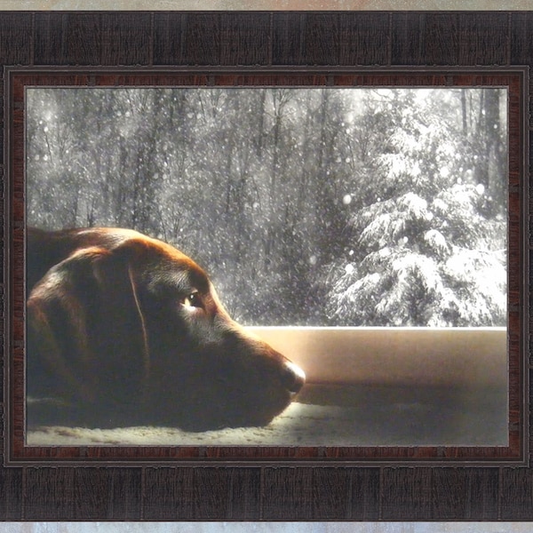 Chocolate Lab - Etsy