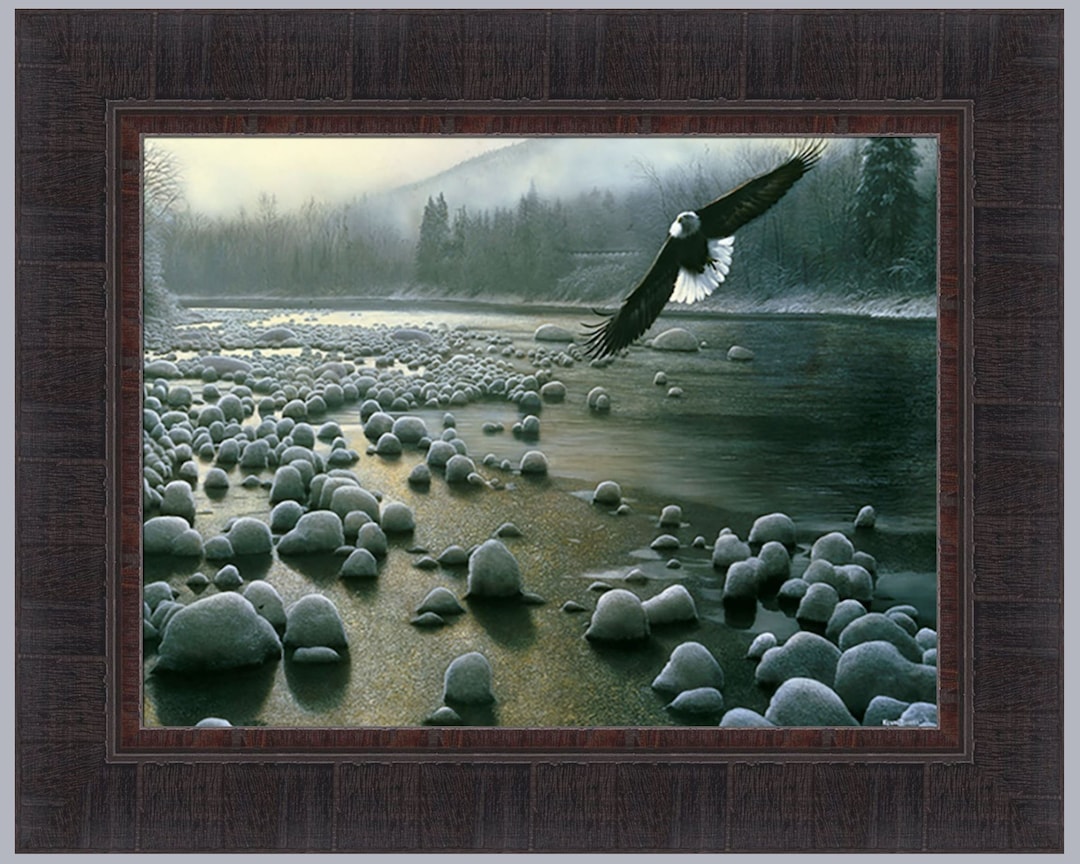 On Eagle Wings by Kevin Daniel 17x21 Wildlife Framed Art Print Wall ...