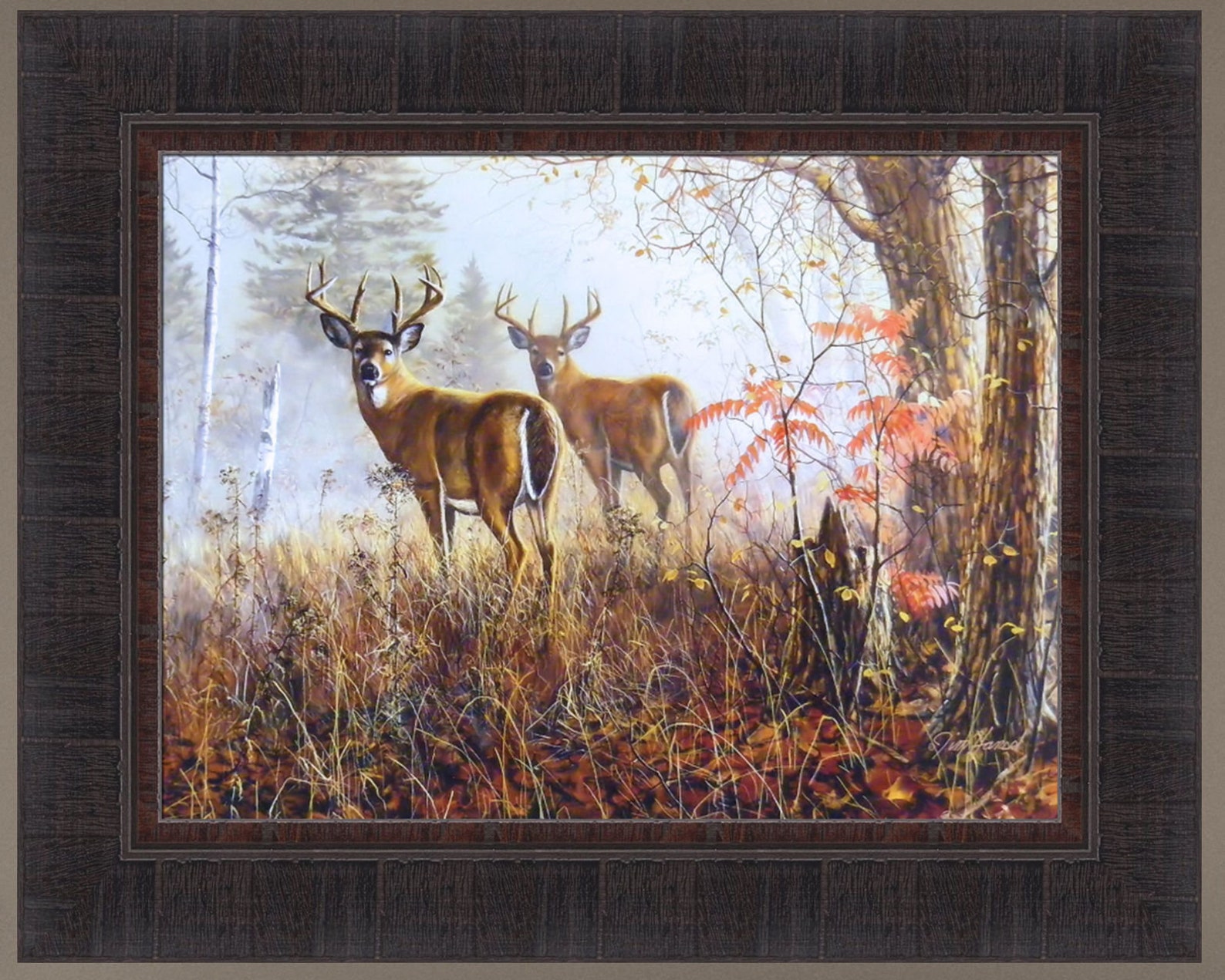 Double Vision by Jim Hansel 17x21 Buck Deer Framed Art Print Wall Décor ...