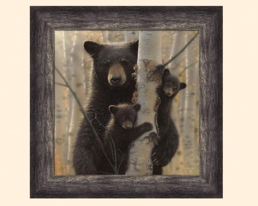 Mama Bear & Cubs by Collin Bogle 24x24 Black Bear Baby Cubs in Birch ...