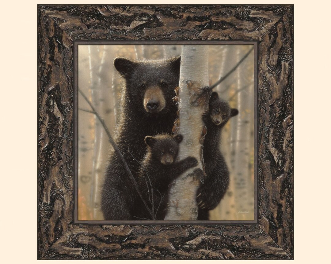 Mama Bear & Cubs by Collin Bogle 25x25 Black Bear Baby Cubs in Birch ...