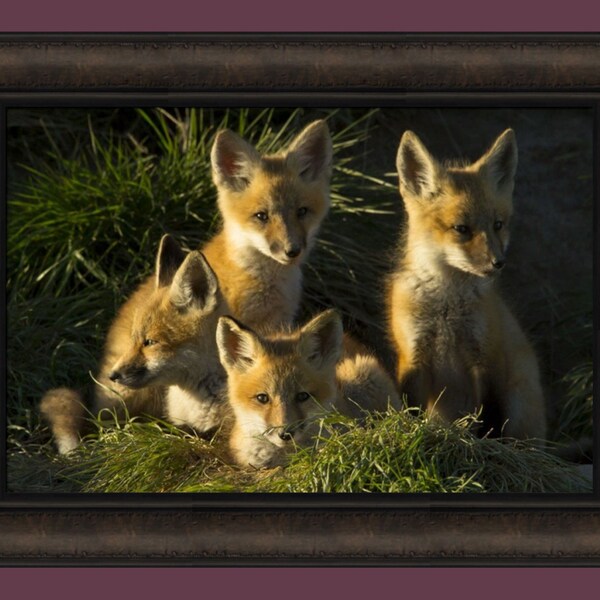 Fox Print - Etsy