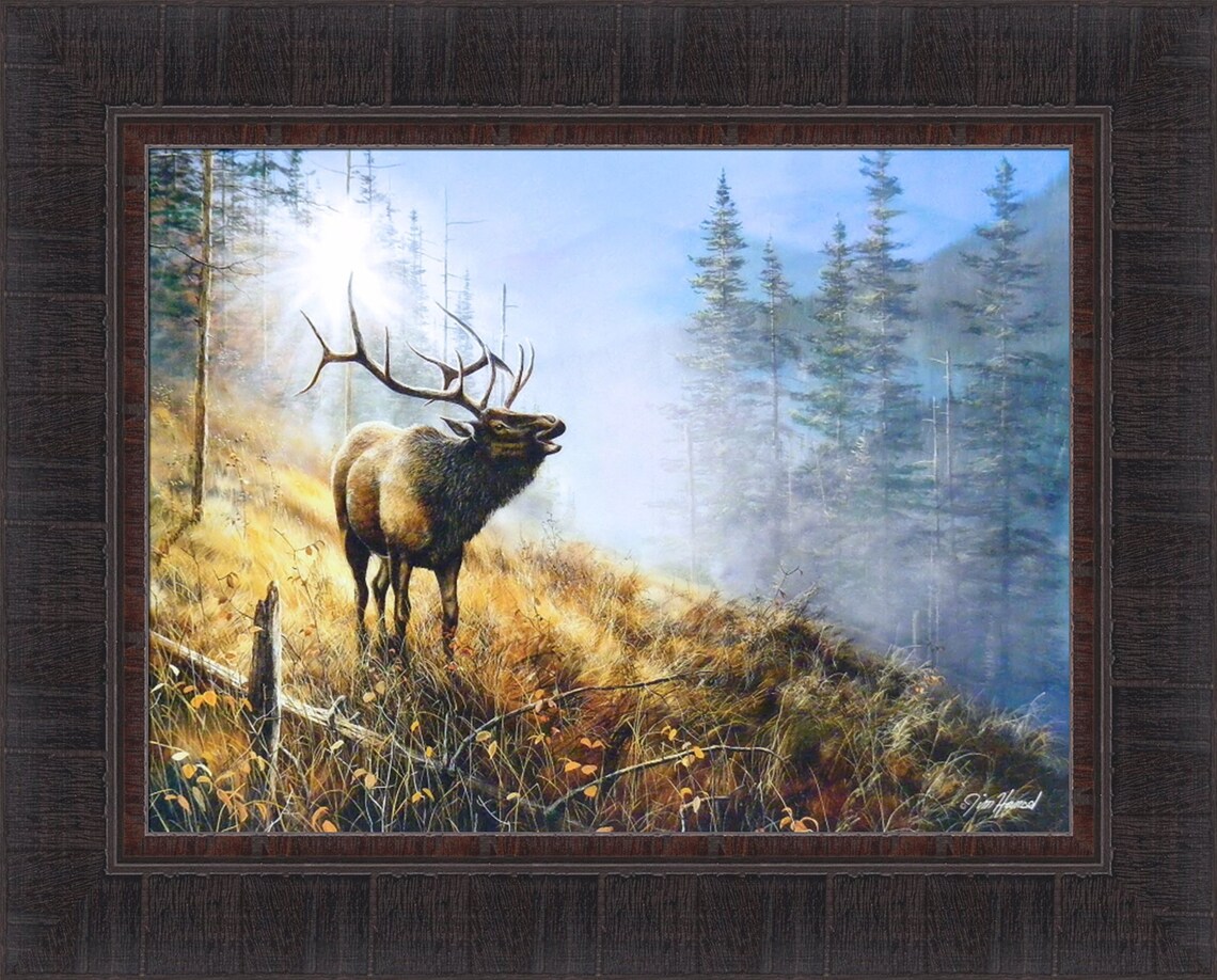 Song in the Mist by Jim Hansel 17x21 Bull Elk Framed Art Print | Etsy