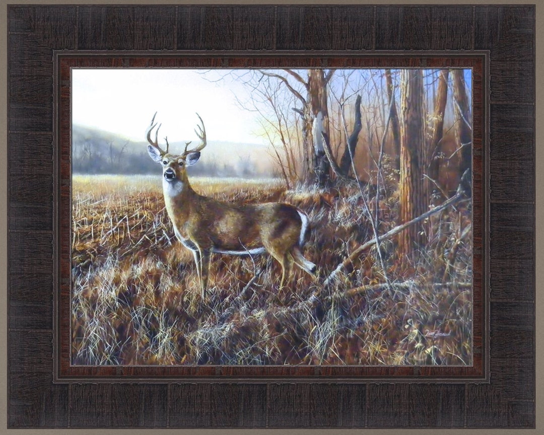 Bluff Country Buck by Jim Hansel 17x21 Whitetail Deer Framed Art Print ...