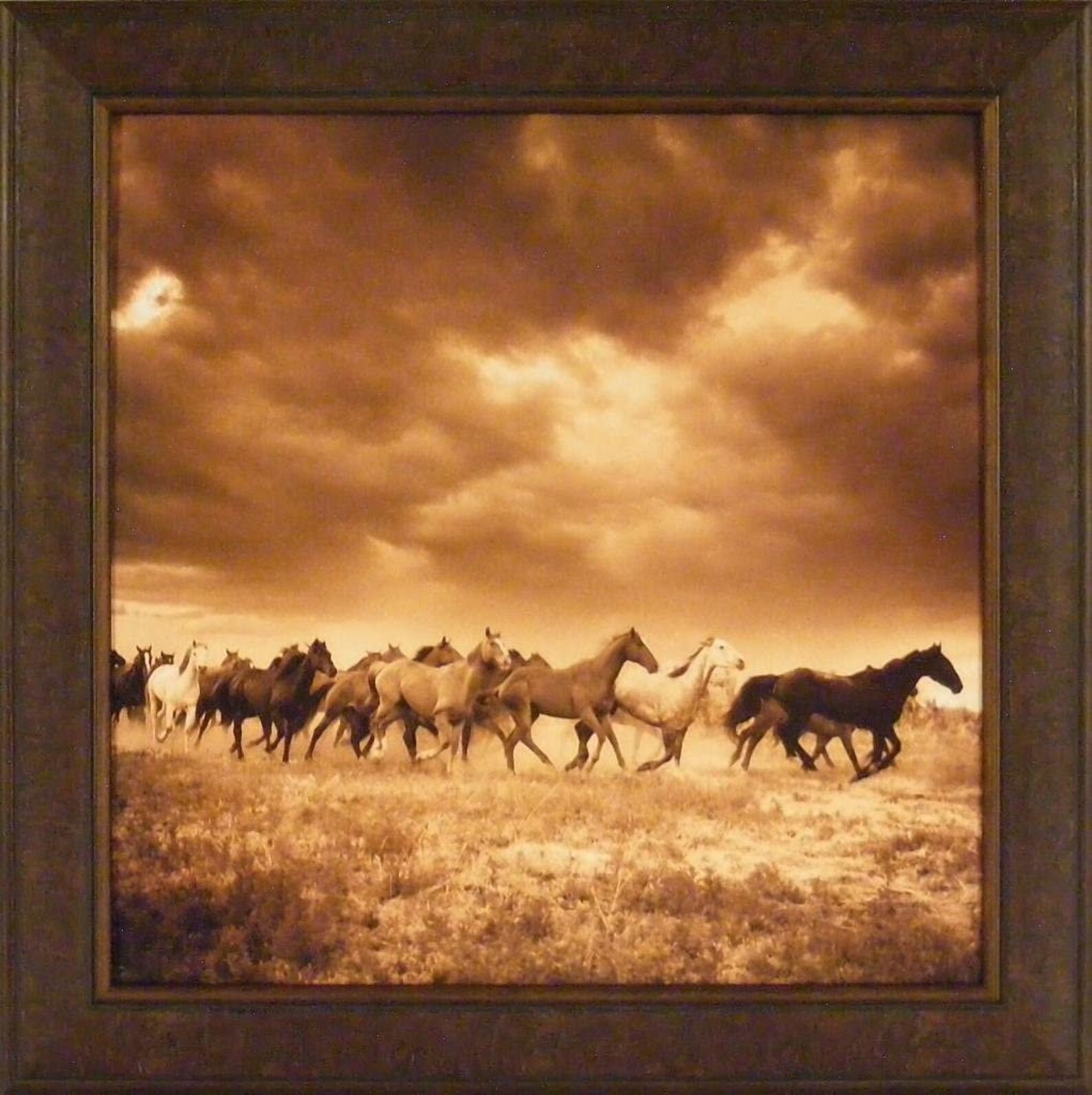 Remuda 6 by Adam Jahiel 30x30 Running Horses Horse Herd Sepia - Etsy