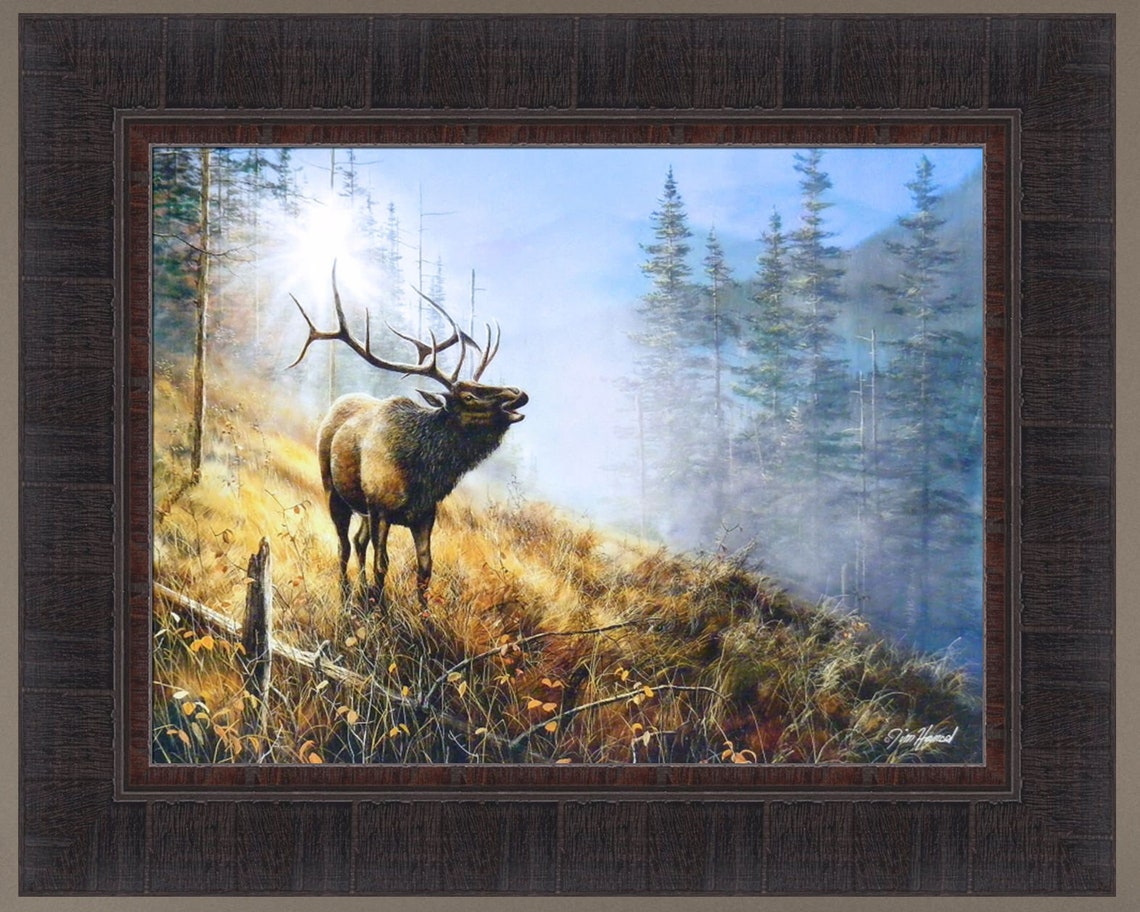 Song in the Mist by Jim Hansel 17x21 Bull Elk Framed Art Print | Etsy