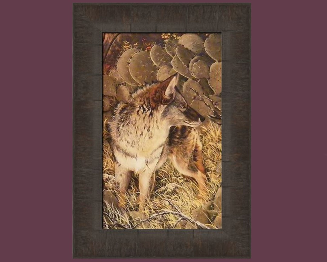 Prince of Thieves by Ray Whitson 11x15 Coyote Cactus Framed Art Print ...