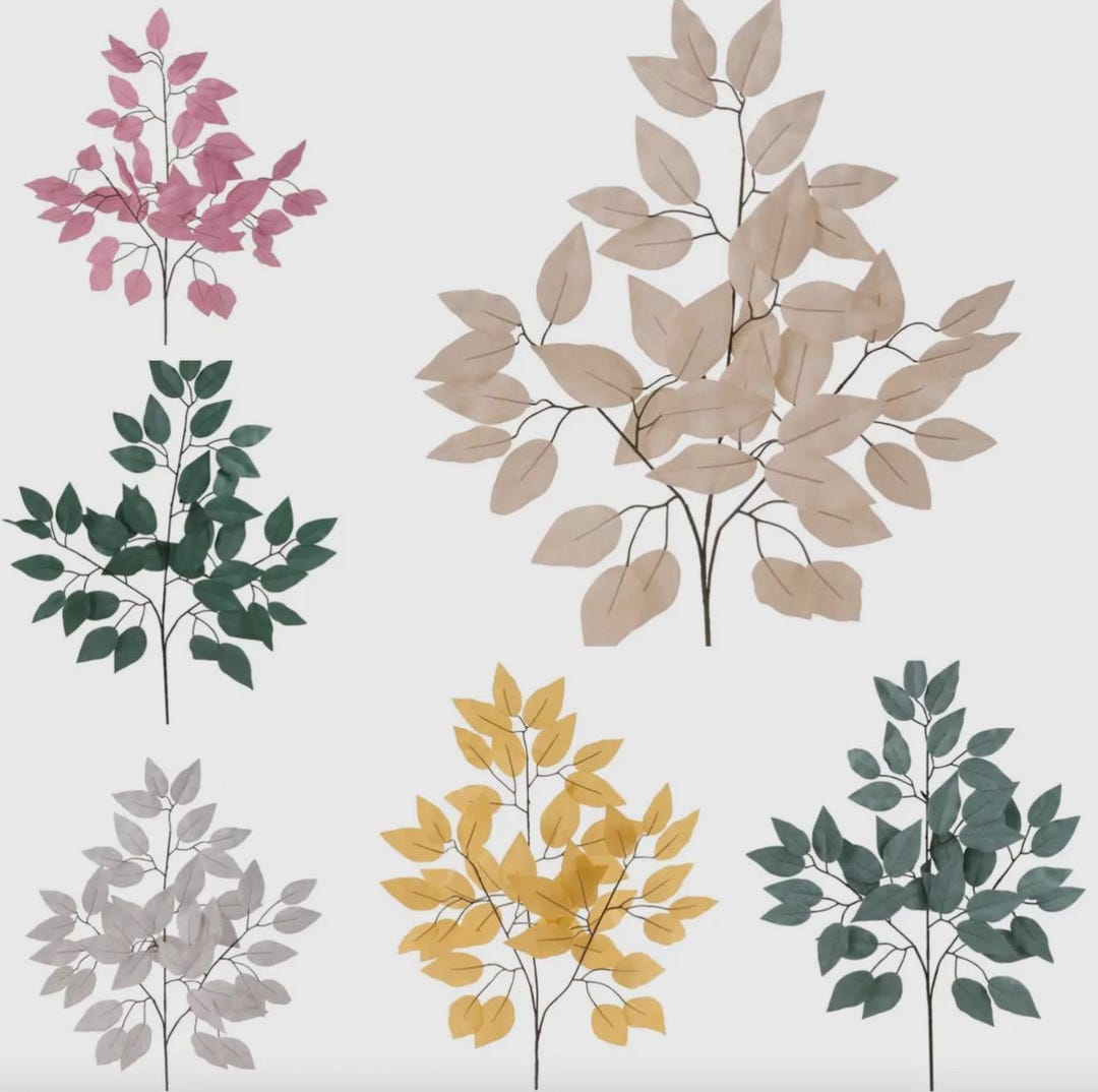 14 Piece Ficus Assortment Mixed Colors - Etsy