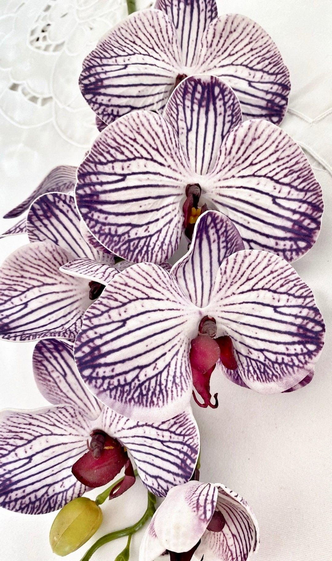 Artificial Orchid, Purple Striped Orchid, Flowers Gift for Her, Real ...