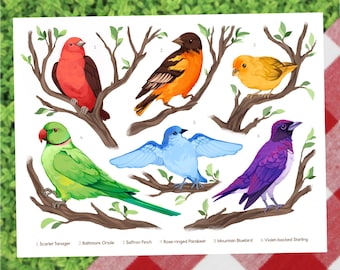 Rainbow Seaglass Family Birds on Stones, Rainbow Colorful Birds ...