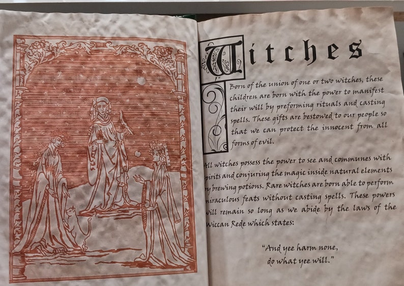 Retiring Soon: Charmed S1 Bos Pages - Etsy