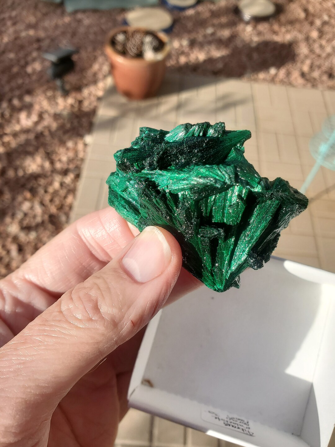 Beautiful Fiber Malachite. Small but Powerful. Small Malachite Specimen ...