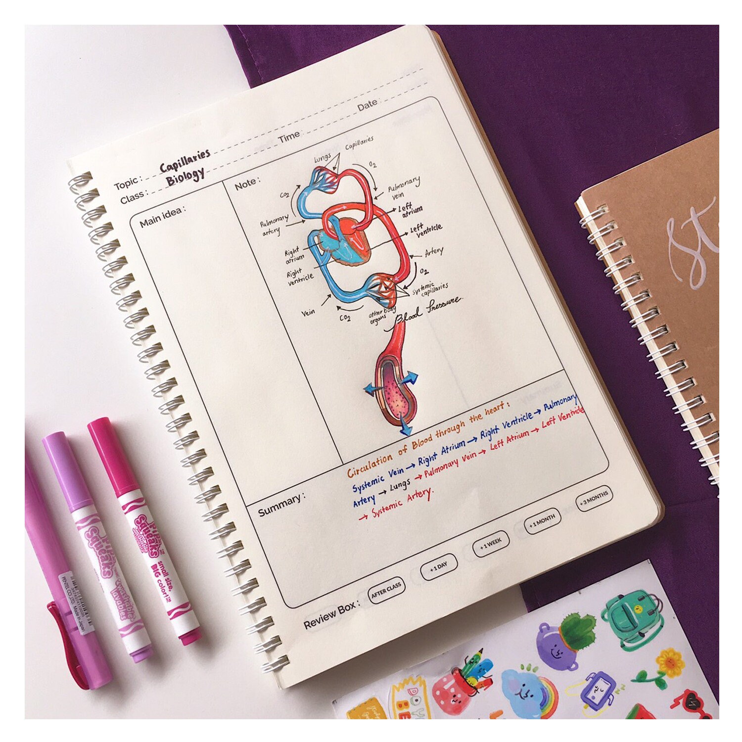 Study Set study Buddy and Lecture Book Academic Notebook / Cornell-note ...
