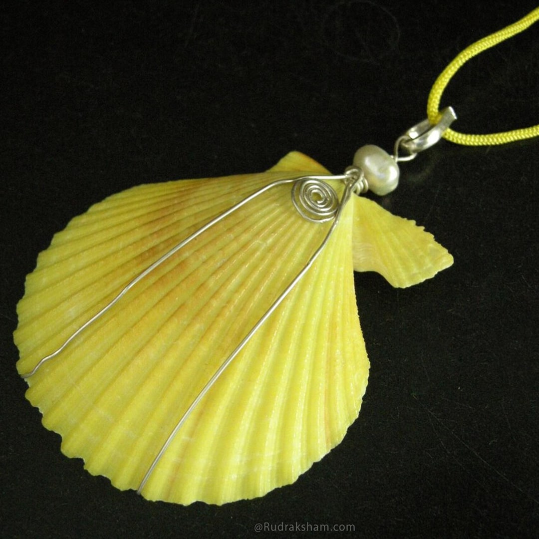 Scallop Silver Shell Necklace, Yellow Seashell With Pearl Pendant Cord ...