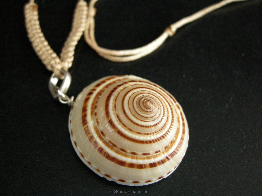 Shell Pendant Necklace, Conch Shell Silver Pendant, Original & Natural ...
