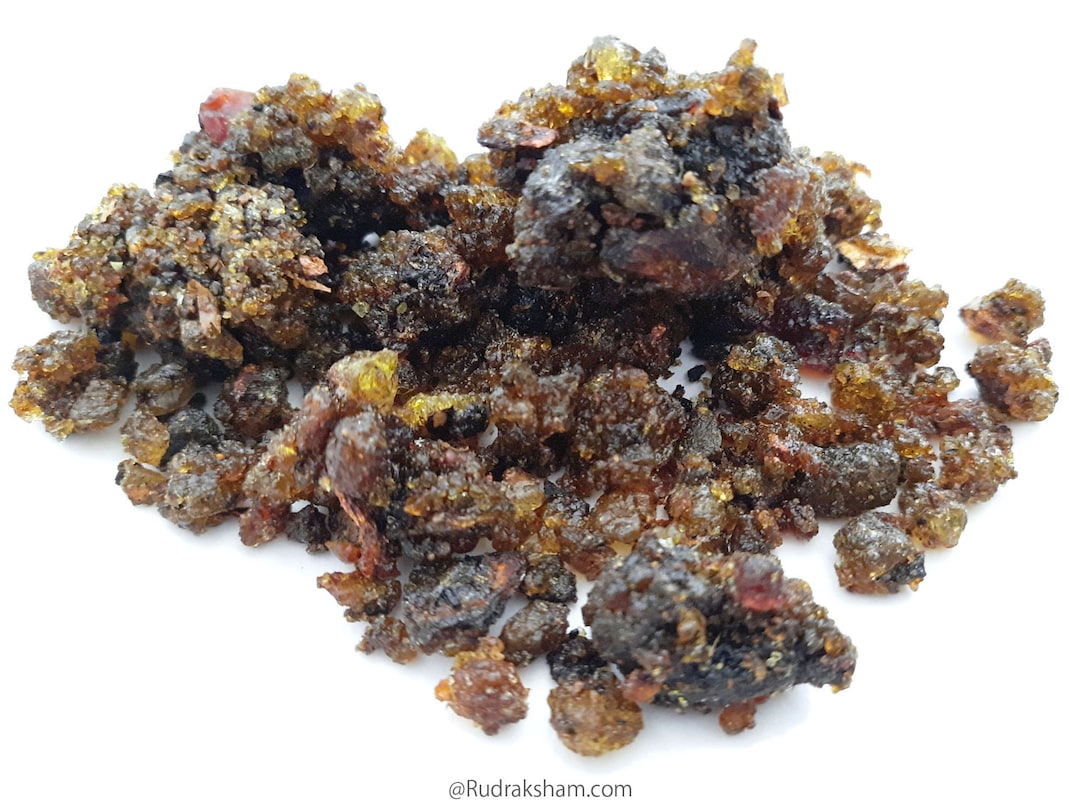 GUGGUL Resin Guggulu Googal Herb Gugal, Commiphora Wightii Myrrh, Gugul ...