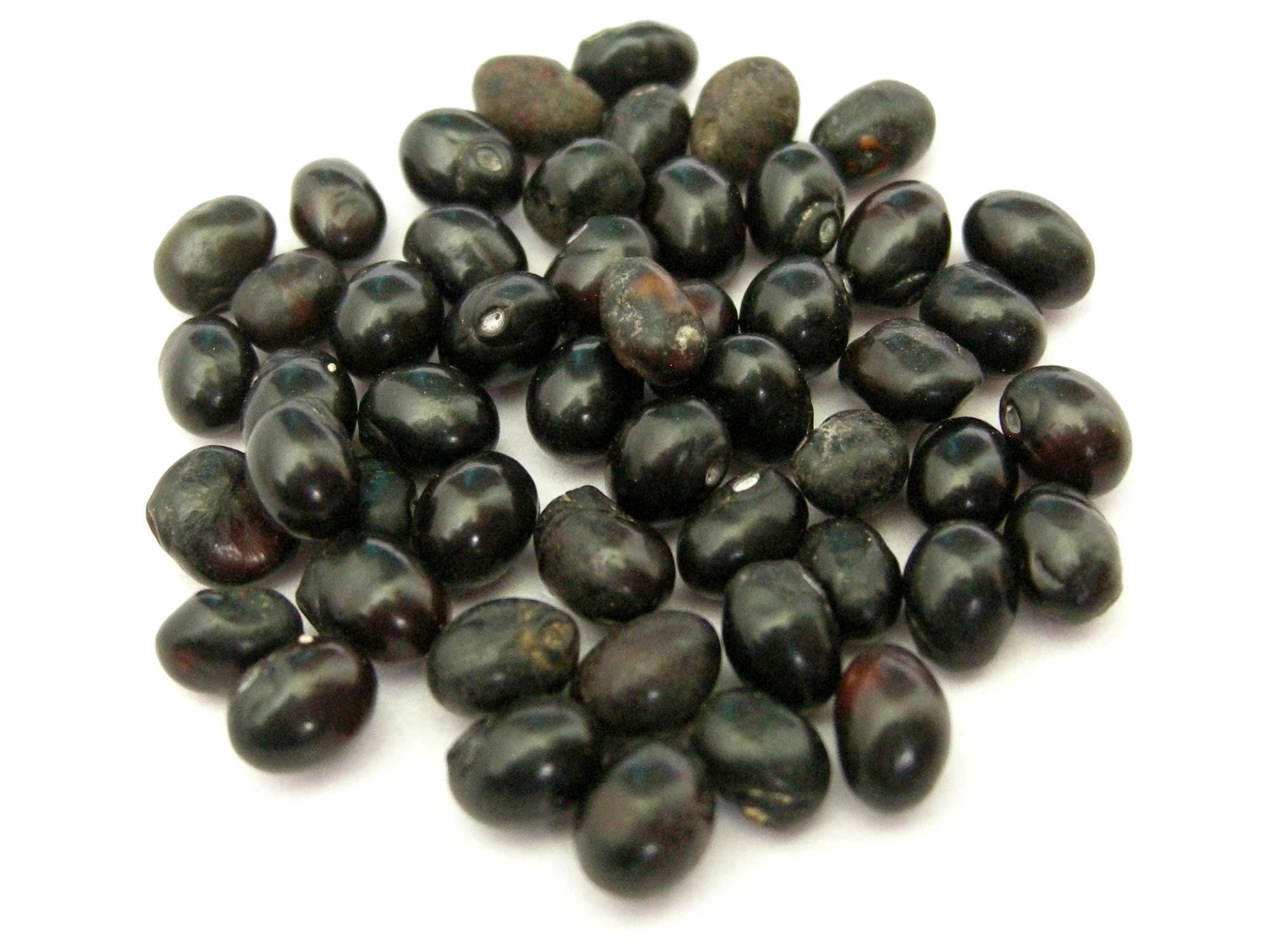 Buy Energised Chirmi Seeds Mala Necklace, Original Black Chirmi Beads ...
