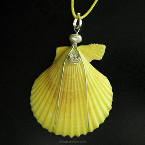 Scallop Silver Shell Necklace, Yellow Seashell With Pearl Pendant Cord ...