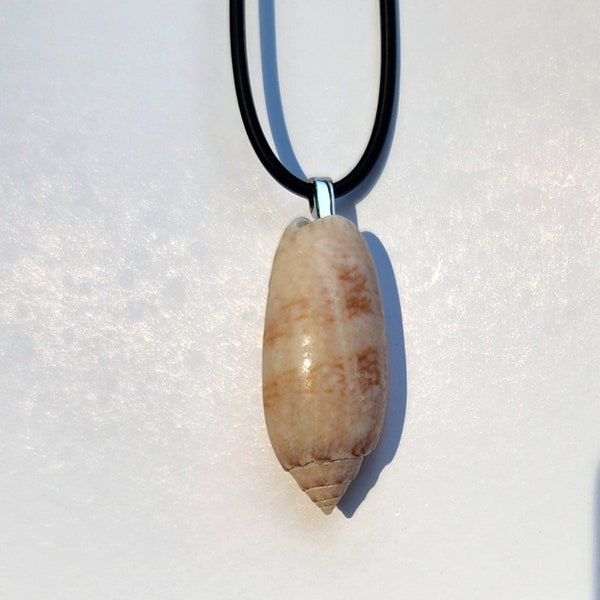 Seashell Necklace - Etsy