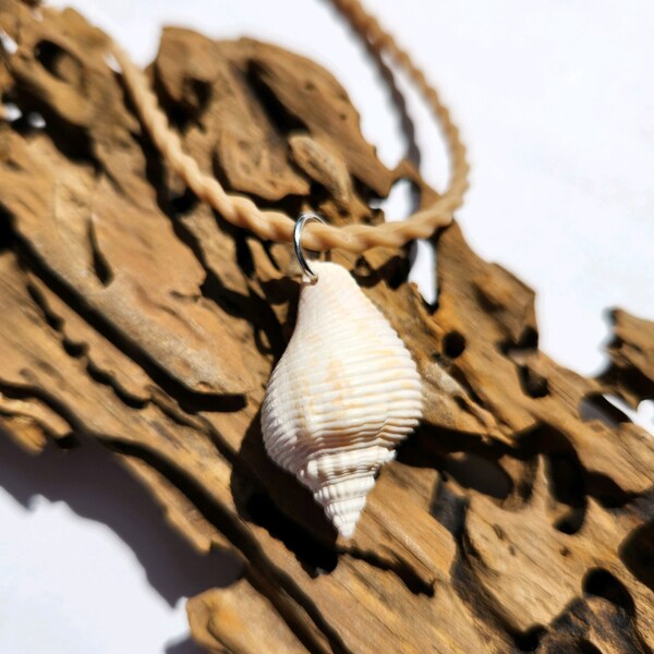 Seashell Necklace - Etsy