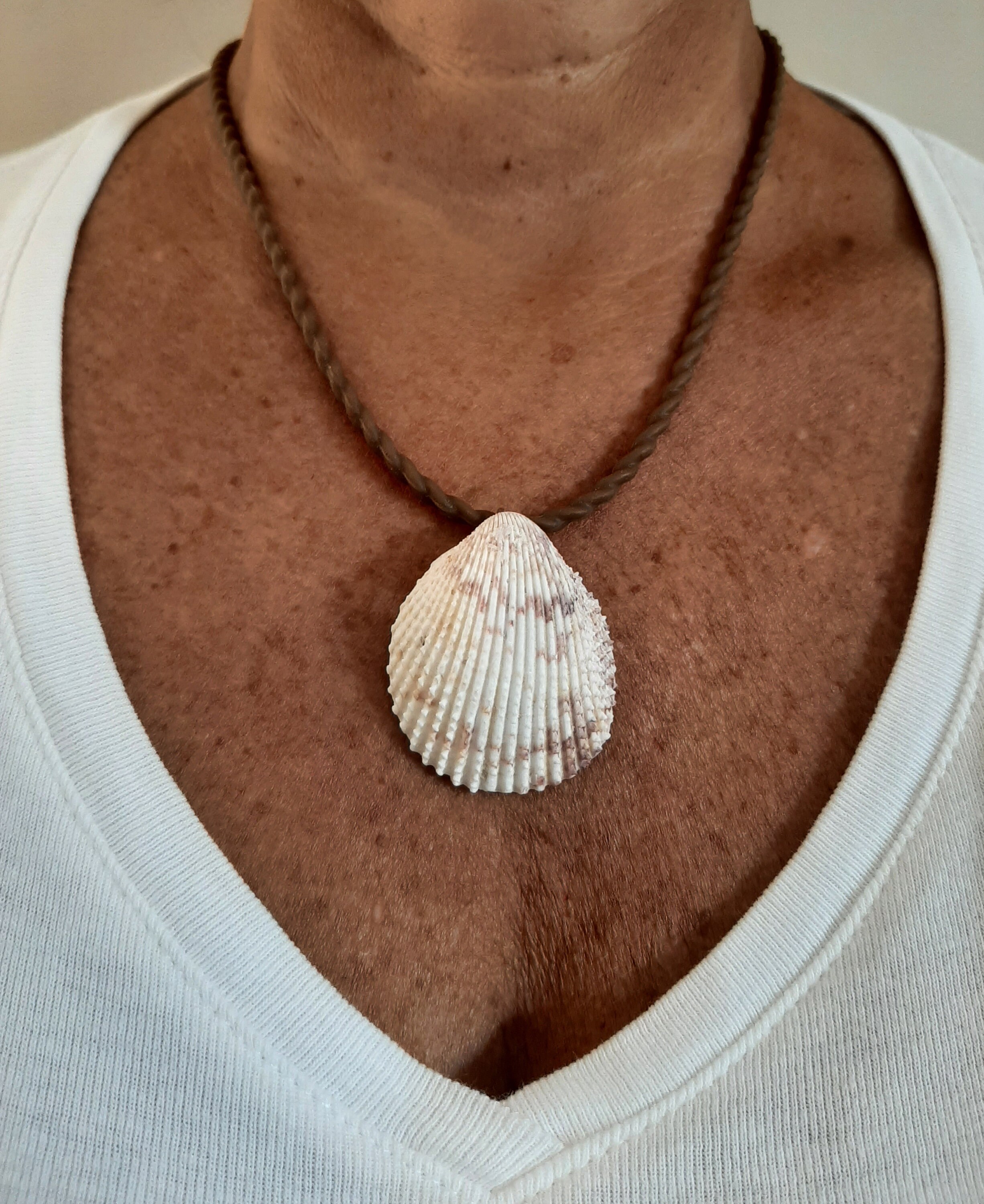 Seashell Necklace and Earring Set, Shell Pendant and Earrings, Beach ...