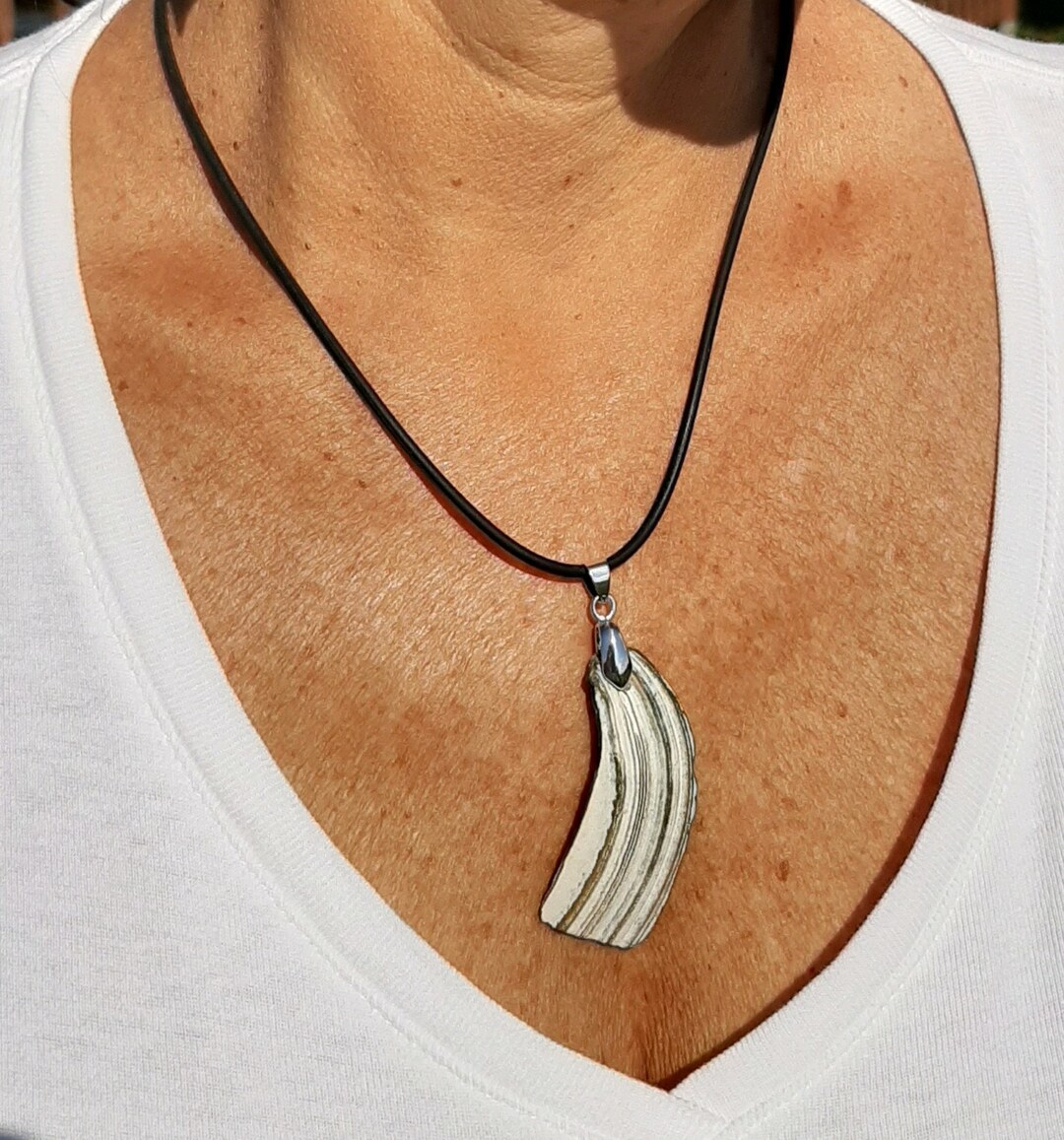 Shell Necklace, Seashell Pendant, Shell Pendant, Shell Jewelry, Real ...