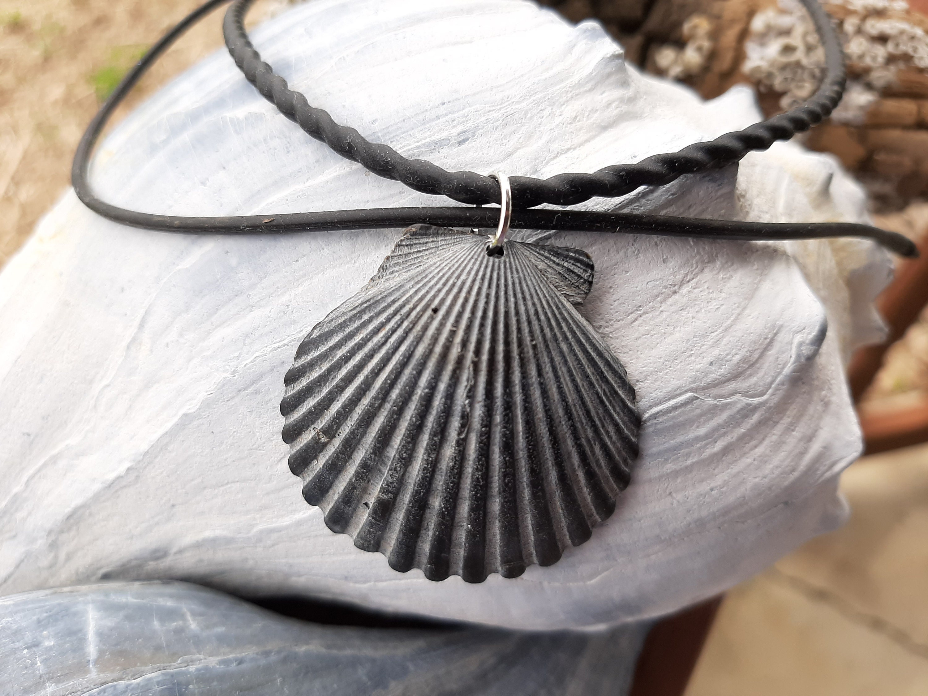 Seashell Necklace Seashell Pendant Shell Pendant Beach | Etsy