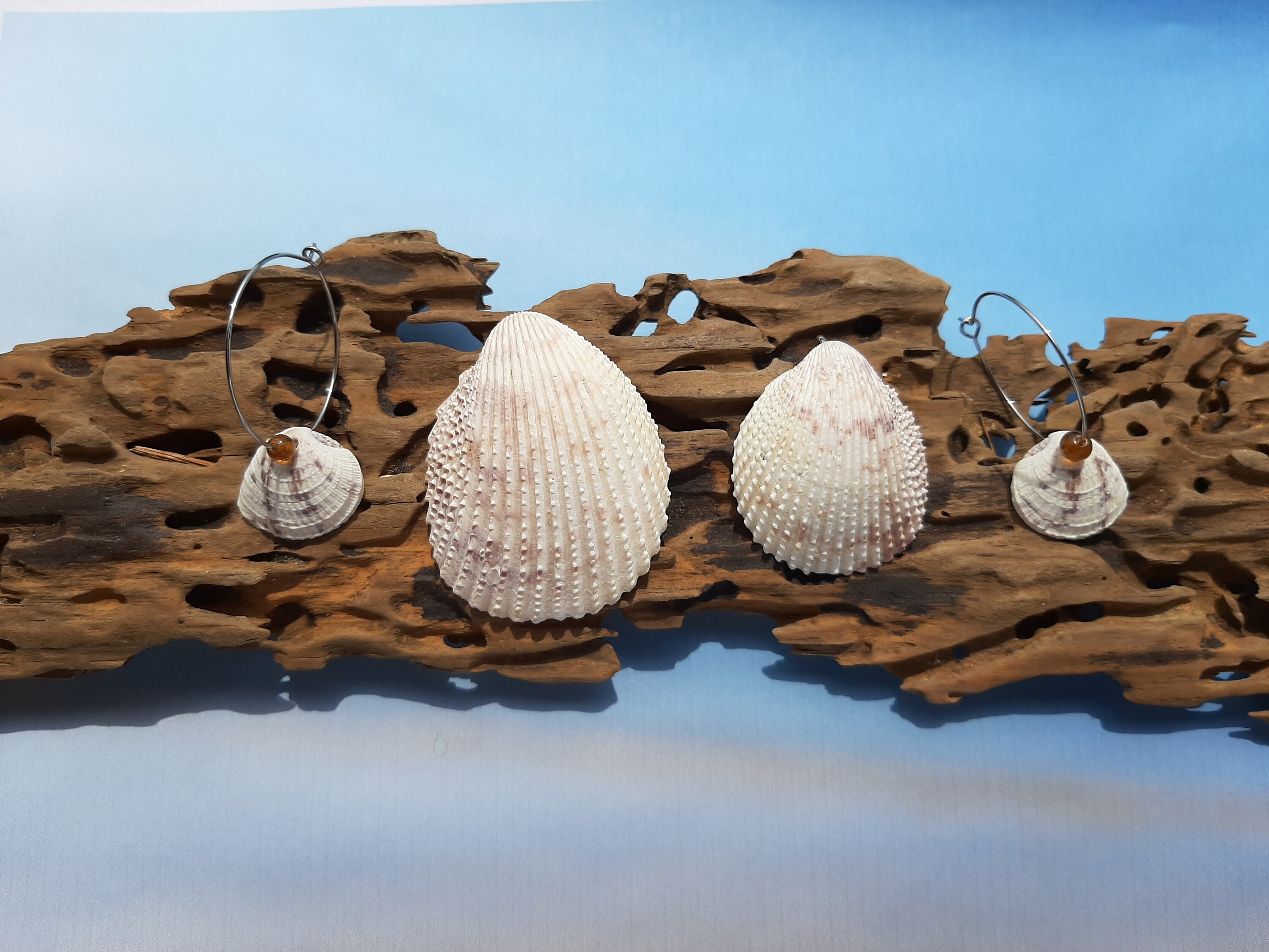 Seashell Necklace and Earring Set, Shell Pendant and Earrings, Beach ...