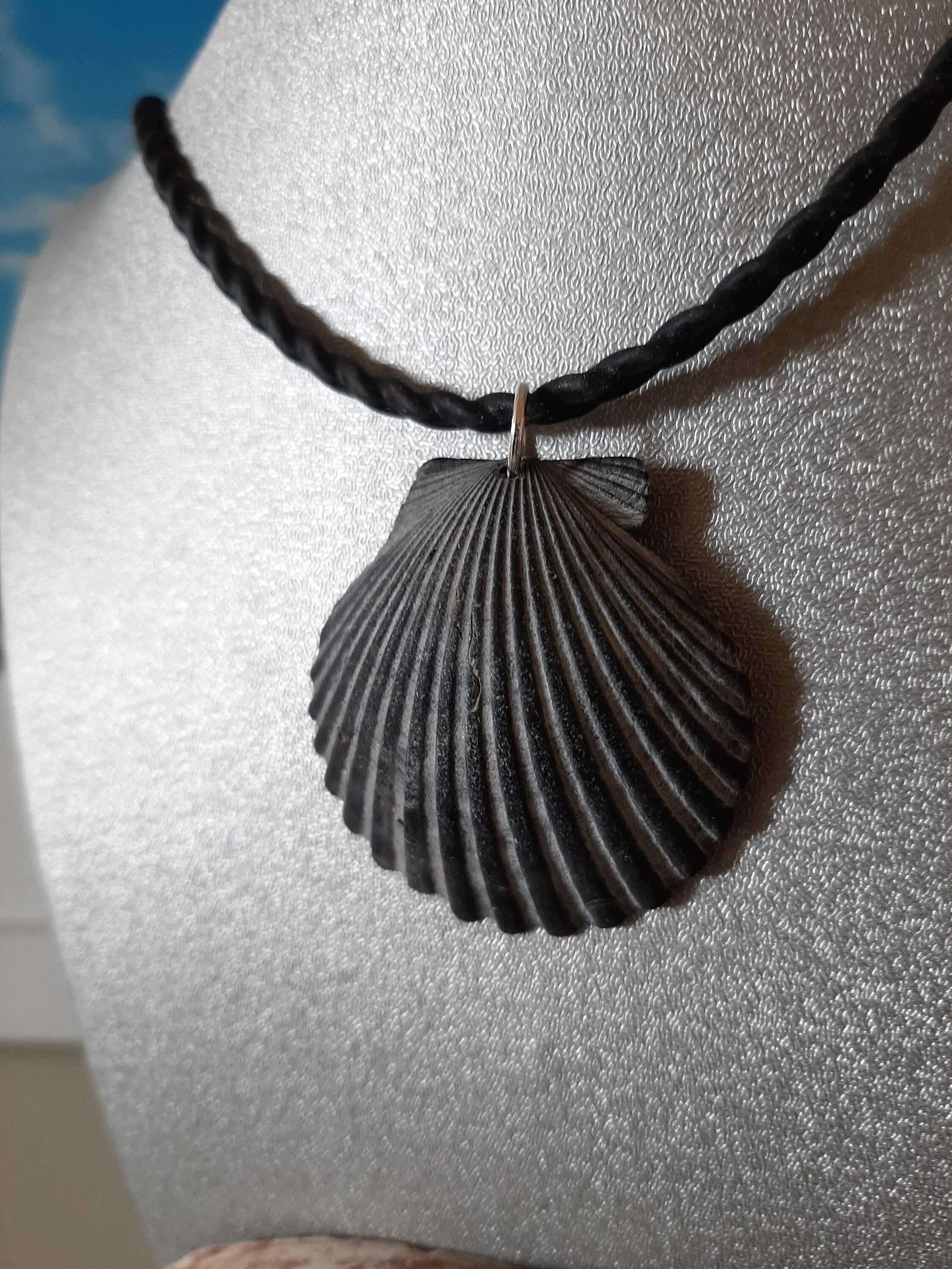 Seashell Necklace Seashell Pendant Shell Pendant Beach | Etsy